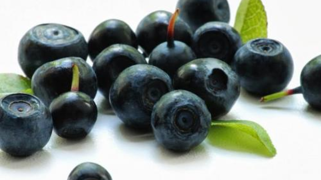 Los beneficios de uno de los frutos más queridos en Chile: El maqui ...