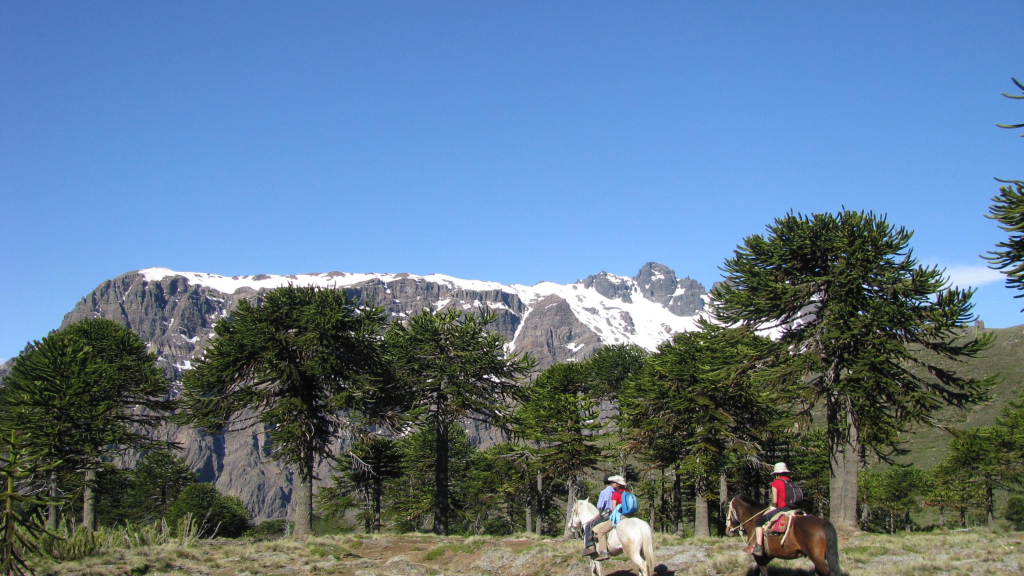 Alto Biobío: destino turístico emergente a nivel nacional | La Tribuna