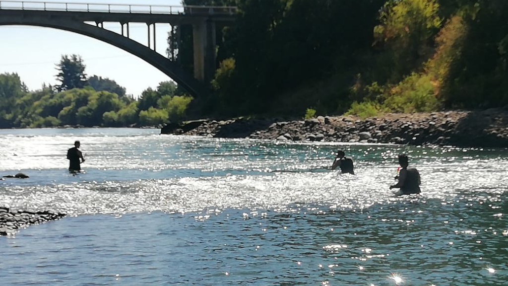 Junta de vigilancia del río Biobío: "estamos en la dirección correcta ...