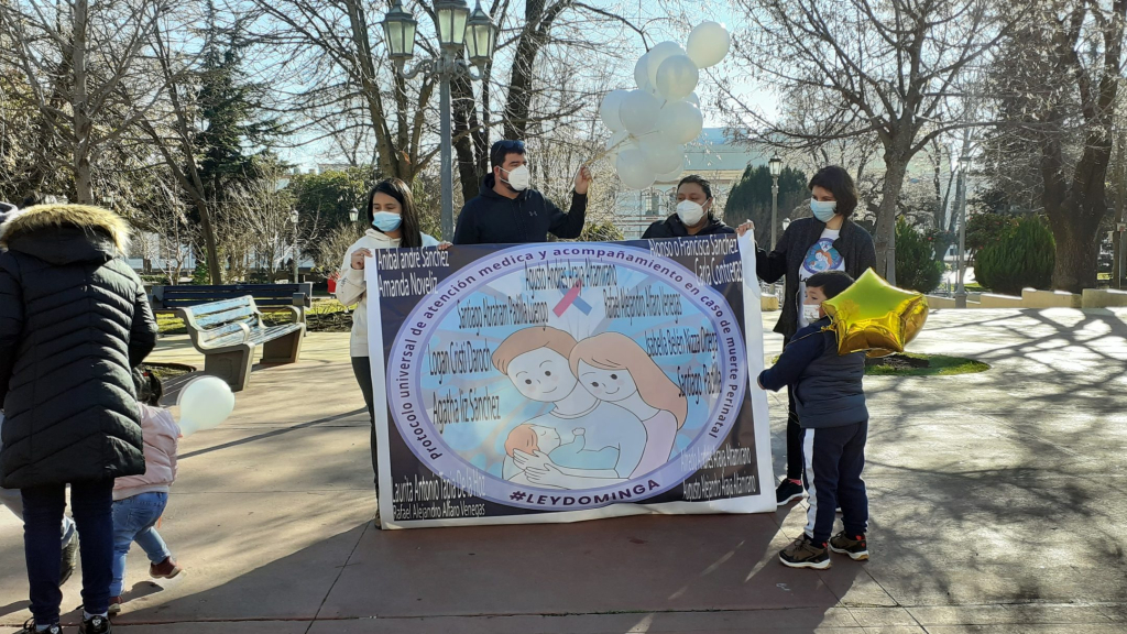 Cámara de Diputados aprobó el proyecto de Ley Dominga y lo despacha al ...