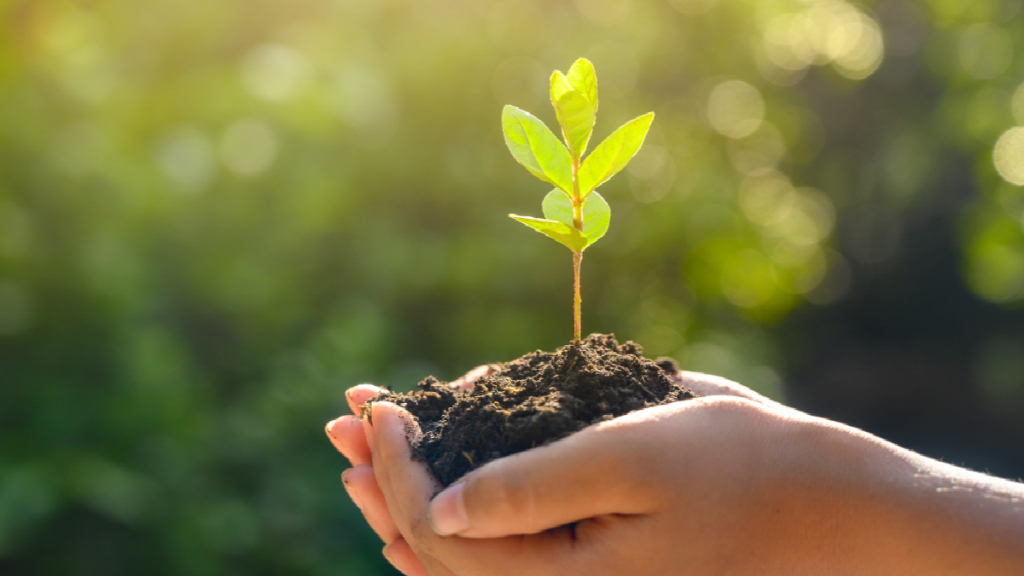 Conozca los principios de "No dejar rastro" | La Tribuna