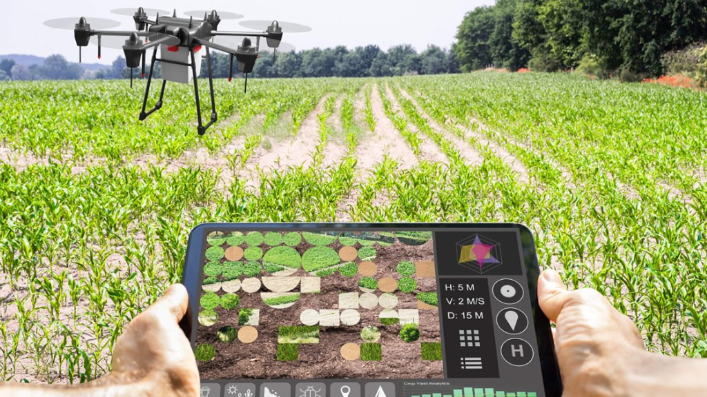 Tecnología se posiciona como elemento clave para la producción de ...