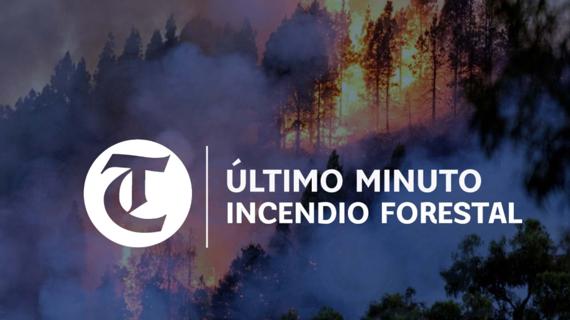 Nuevo foco de incendio forestal en Nacimiento | La Tribuna