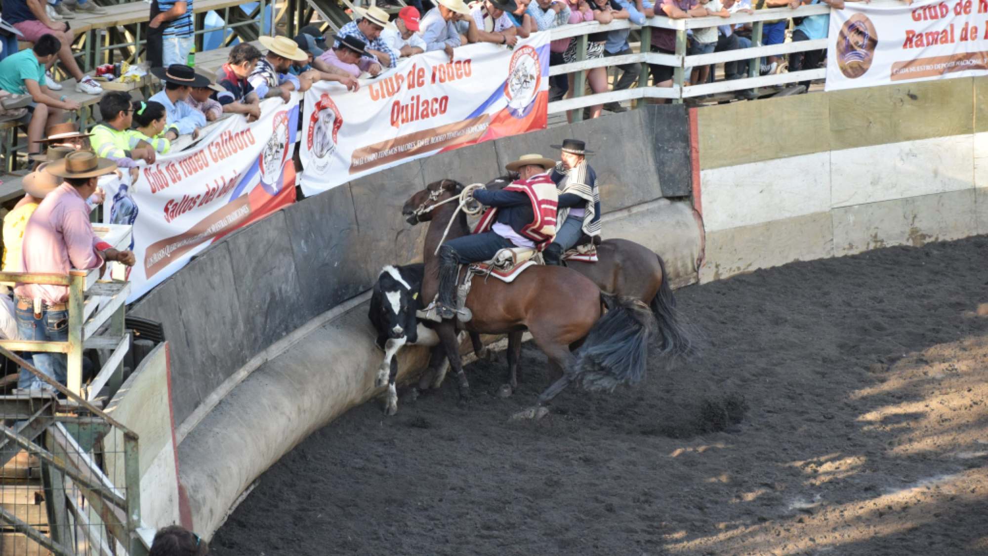 Oscar y Jaime Alarcón fueron los campeones del Clasificatorio zonal sur ...
