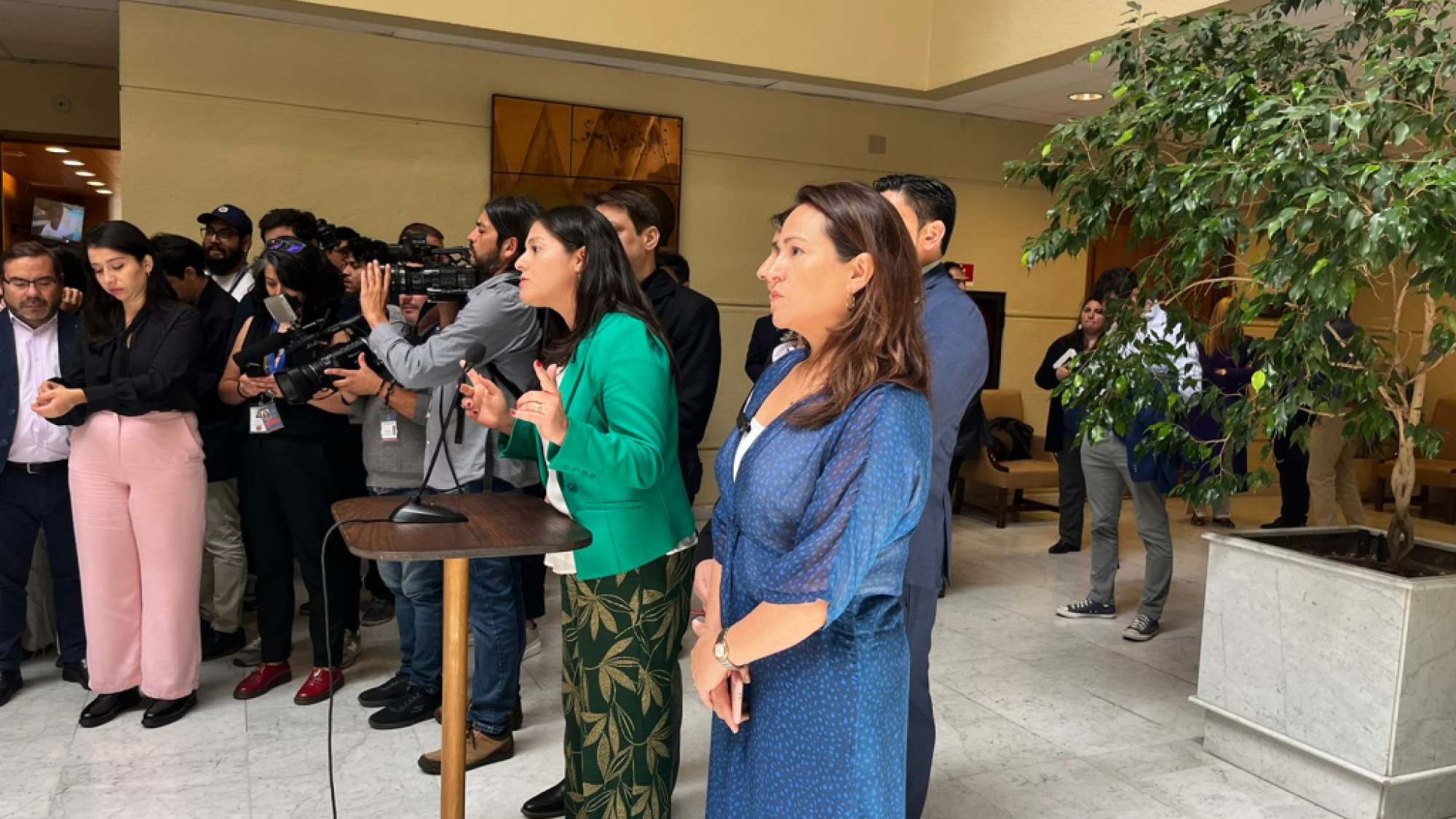 Diputada Karen Medina defendió rechazo a reforma tributaria | La Tribuna