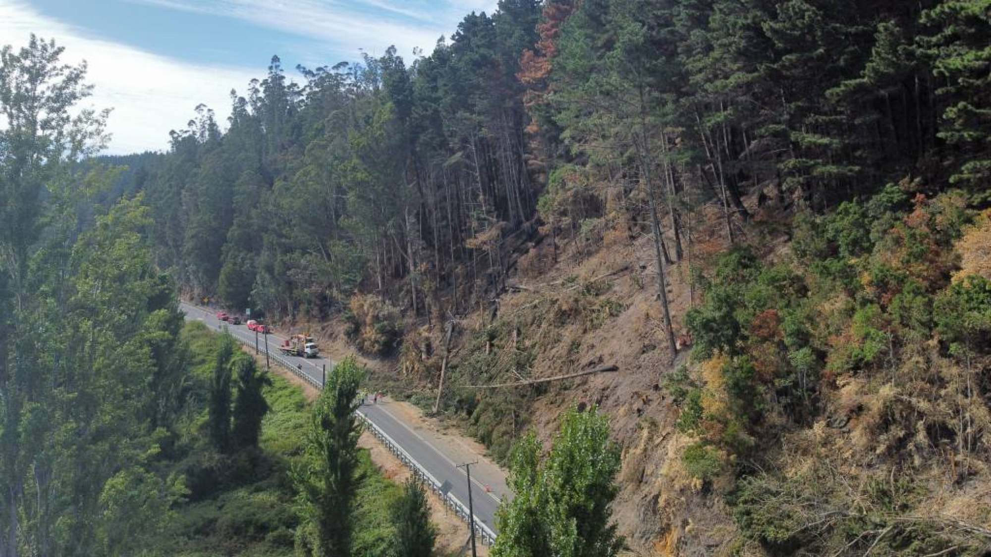 Realizan labores de despeje de árboles caídos en la ruta que conecta ...