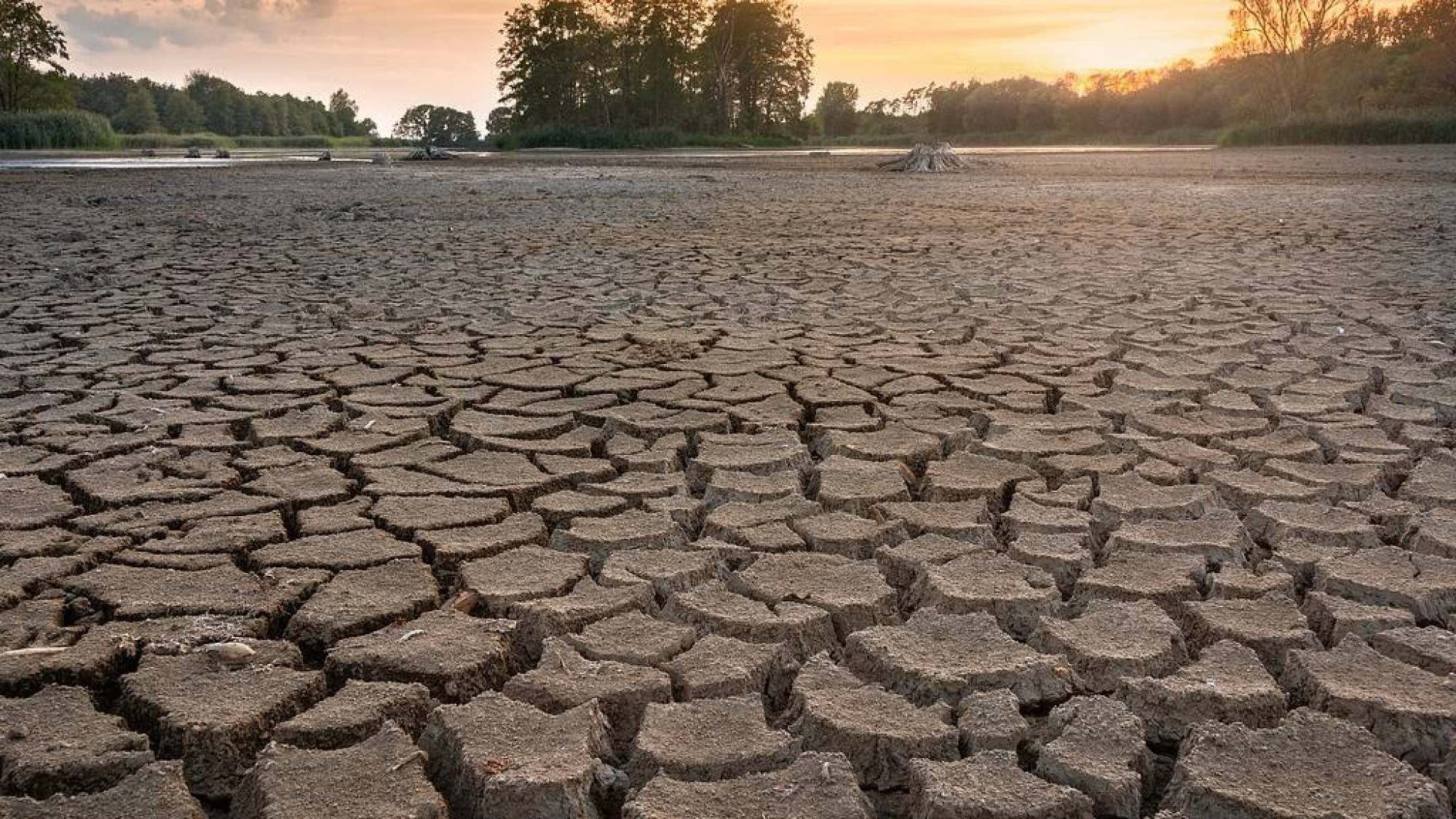 Las sequías repentinas, cada vez más frecuentes y se prevé que se ...
