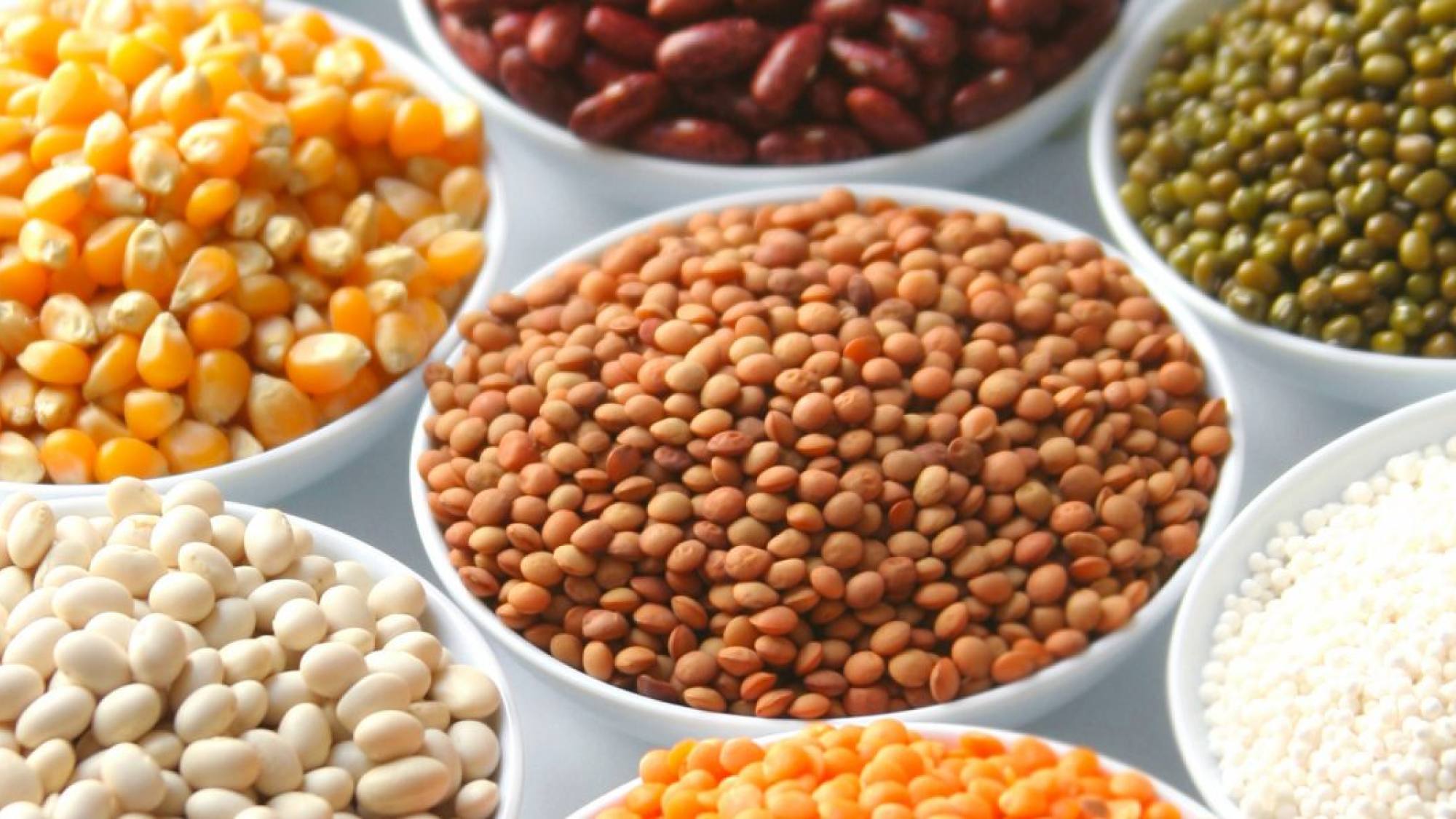 Resaltan programa de cultivos tradicionales para aumentar la producción ...