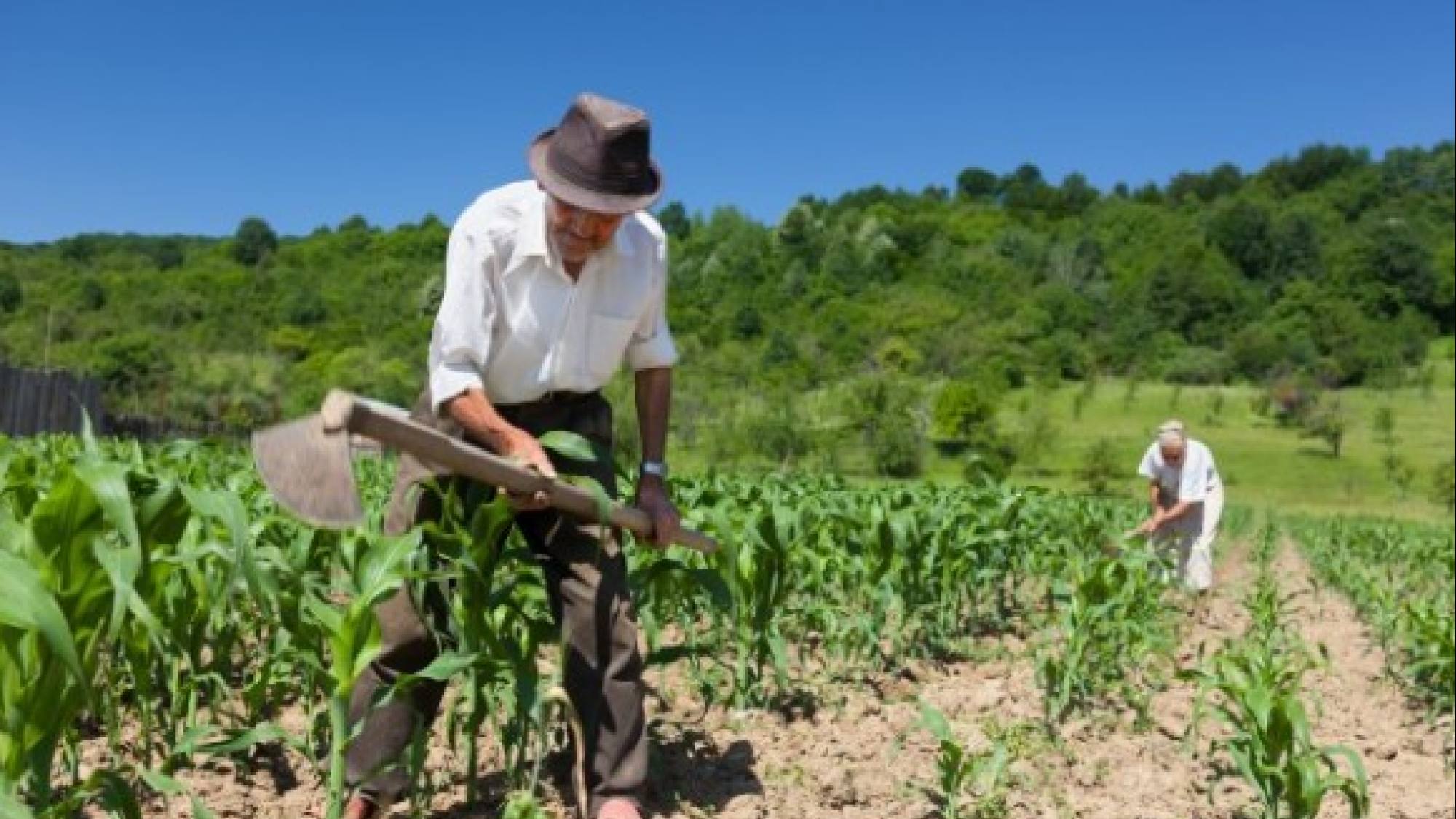Día del campesino y la campesina: poniendo en valor su tiempo en la ...