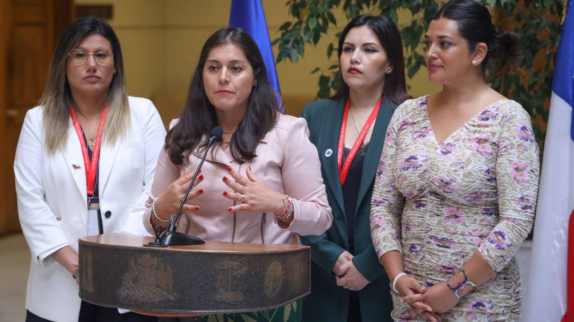 Diputada Karen Medina presenta querella contra el presidente del PDG por presuntos delitos de ...