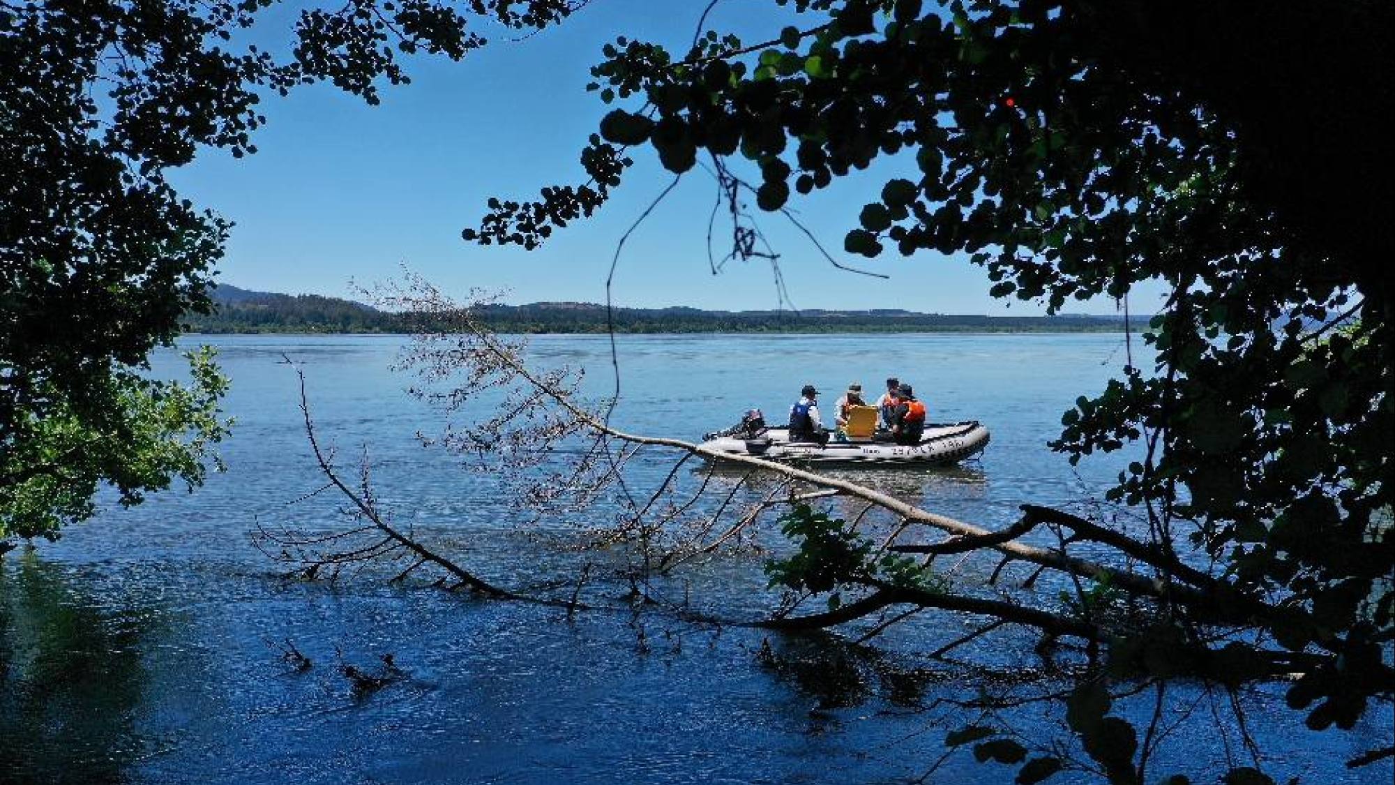 Los cambios que ha experimentado el río Biobío en los últimos 30 años ...