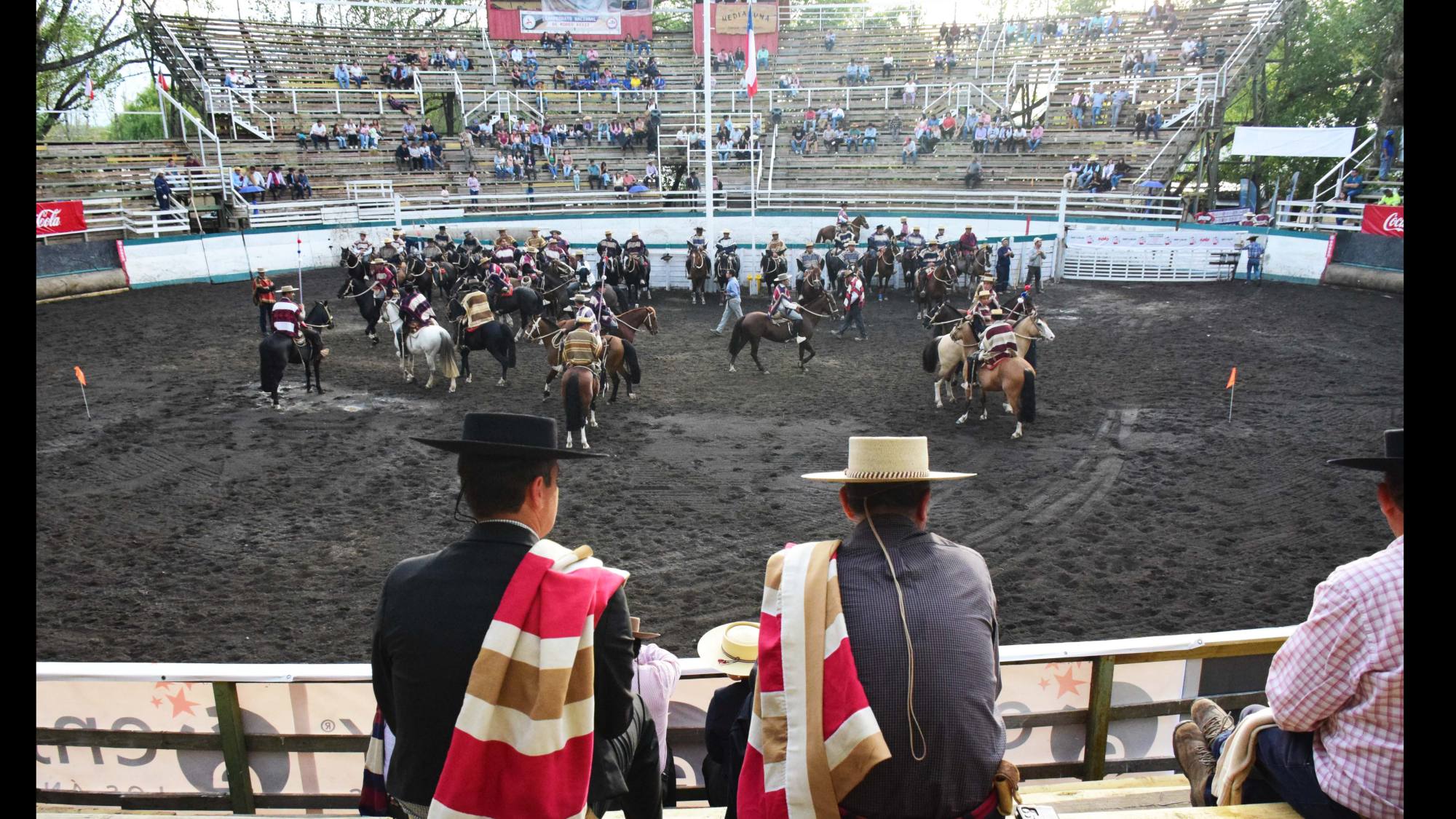 Proyecto de Ley que declara al Rodeo como deporte nacional inició su ...
