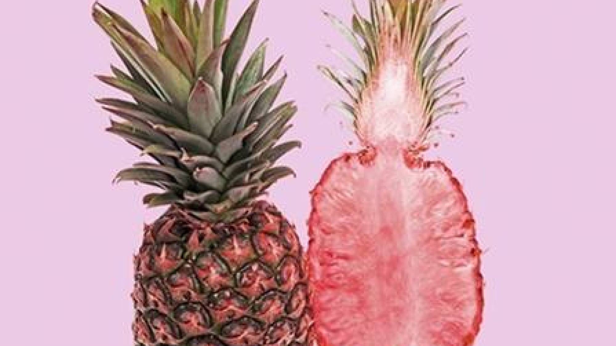 Piña rosada: la fruta genéticamente modificada que es tendencia mundial ...