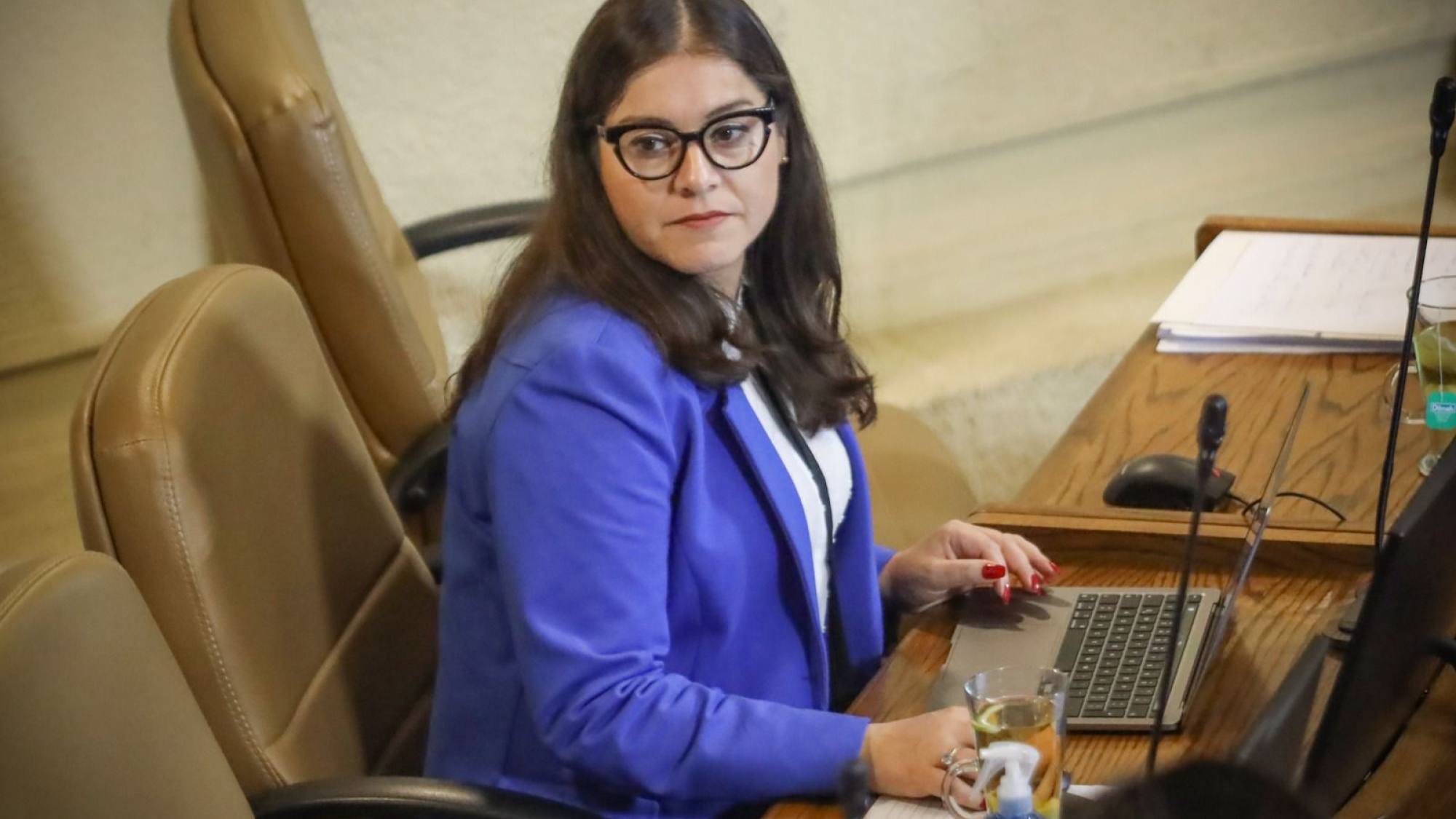 Diputada Karen Medina impulsa Proyecto de Ley para garantizar ...