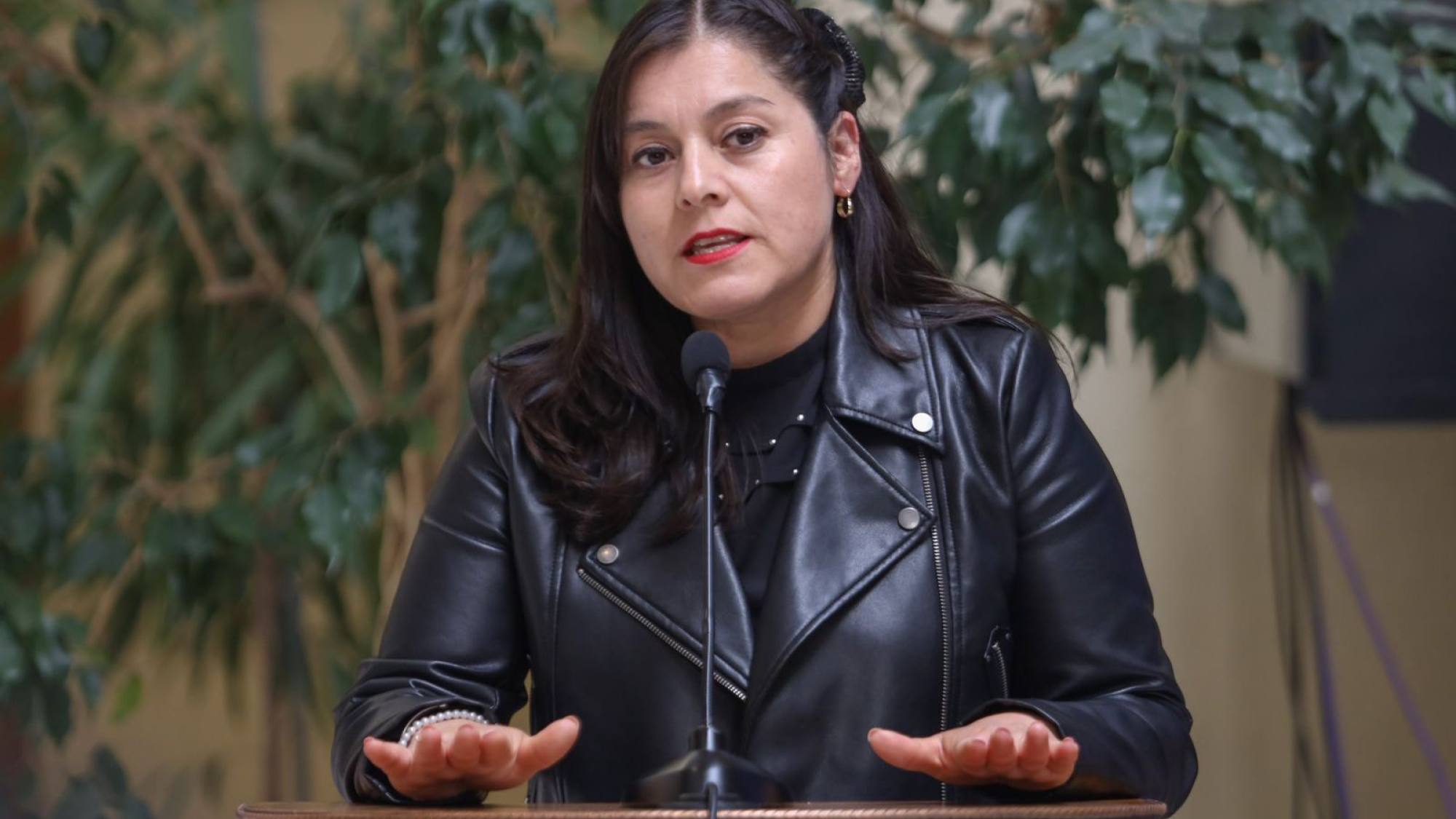 Diputada Karen Medina solicitó apertura de sumario administrativo en ...