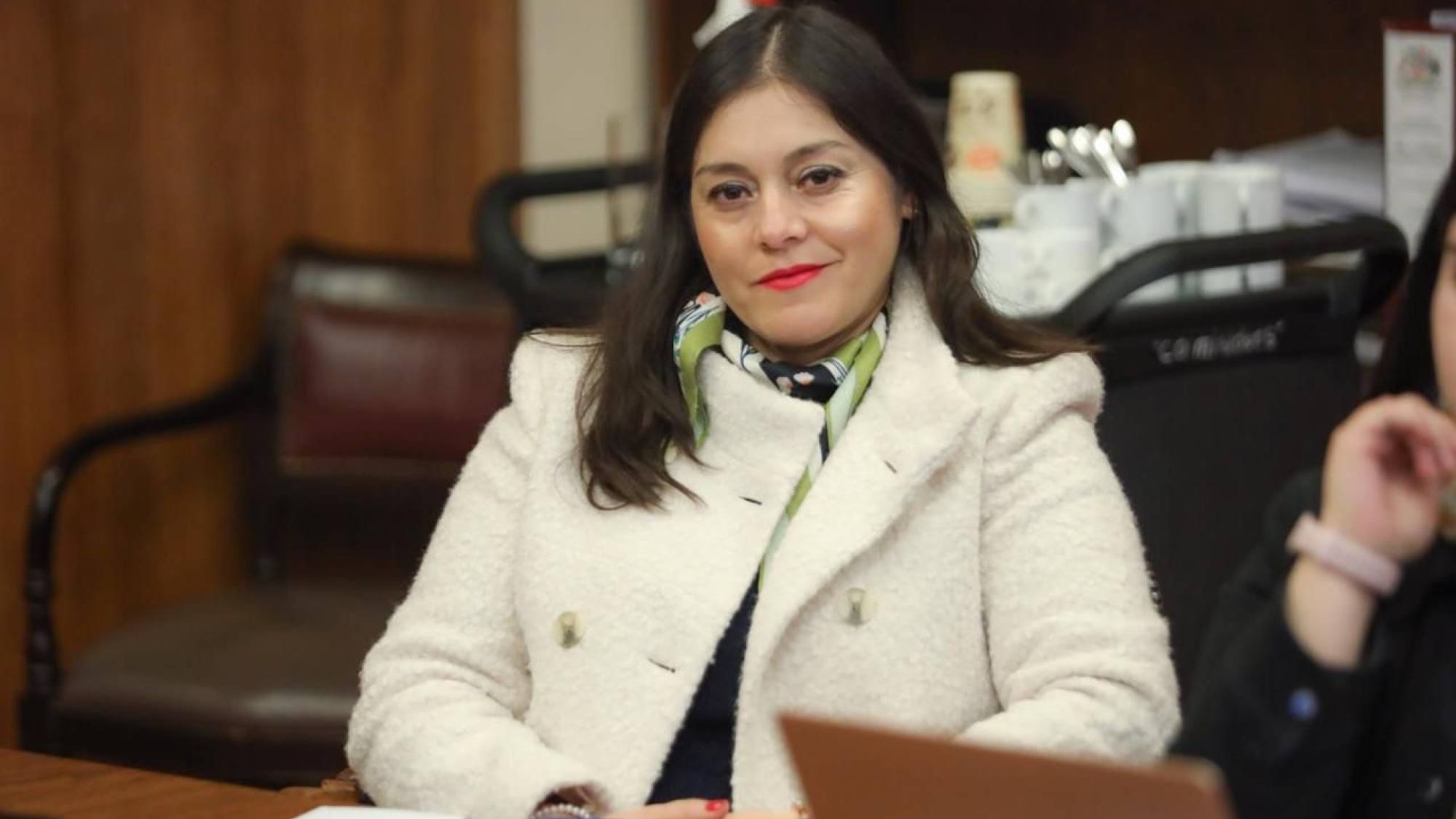 Diputada Karen Medina pide al nuevo gobierno regional del Biobío incorporar un plan piloto para ...