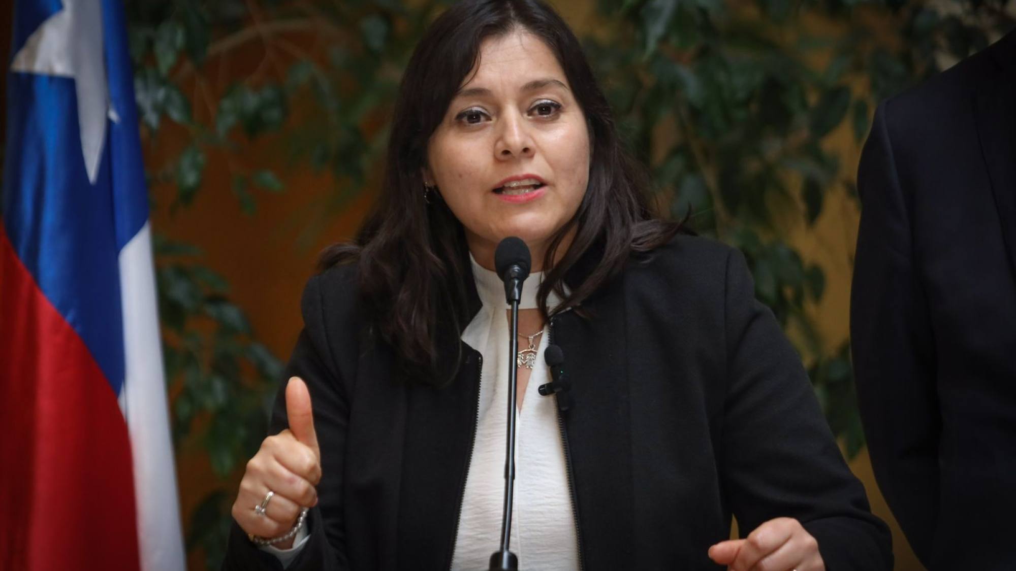 Diputada Karen Medina llama al Senado a resguardar la pesca industrial ...