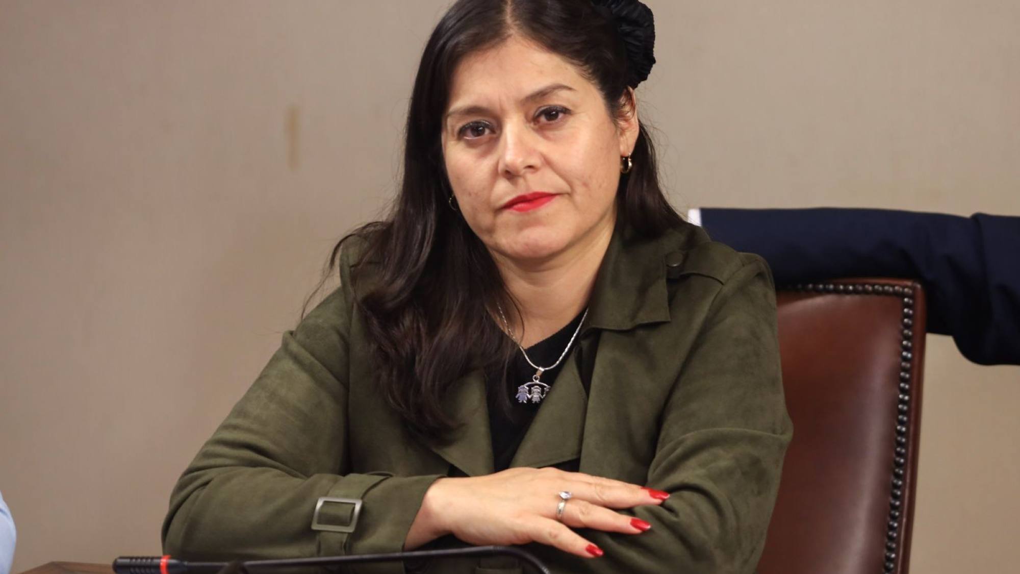 Avanza proyecto de la diputada Karen Medina que busca regular parques de energía eólica | La Tribuna