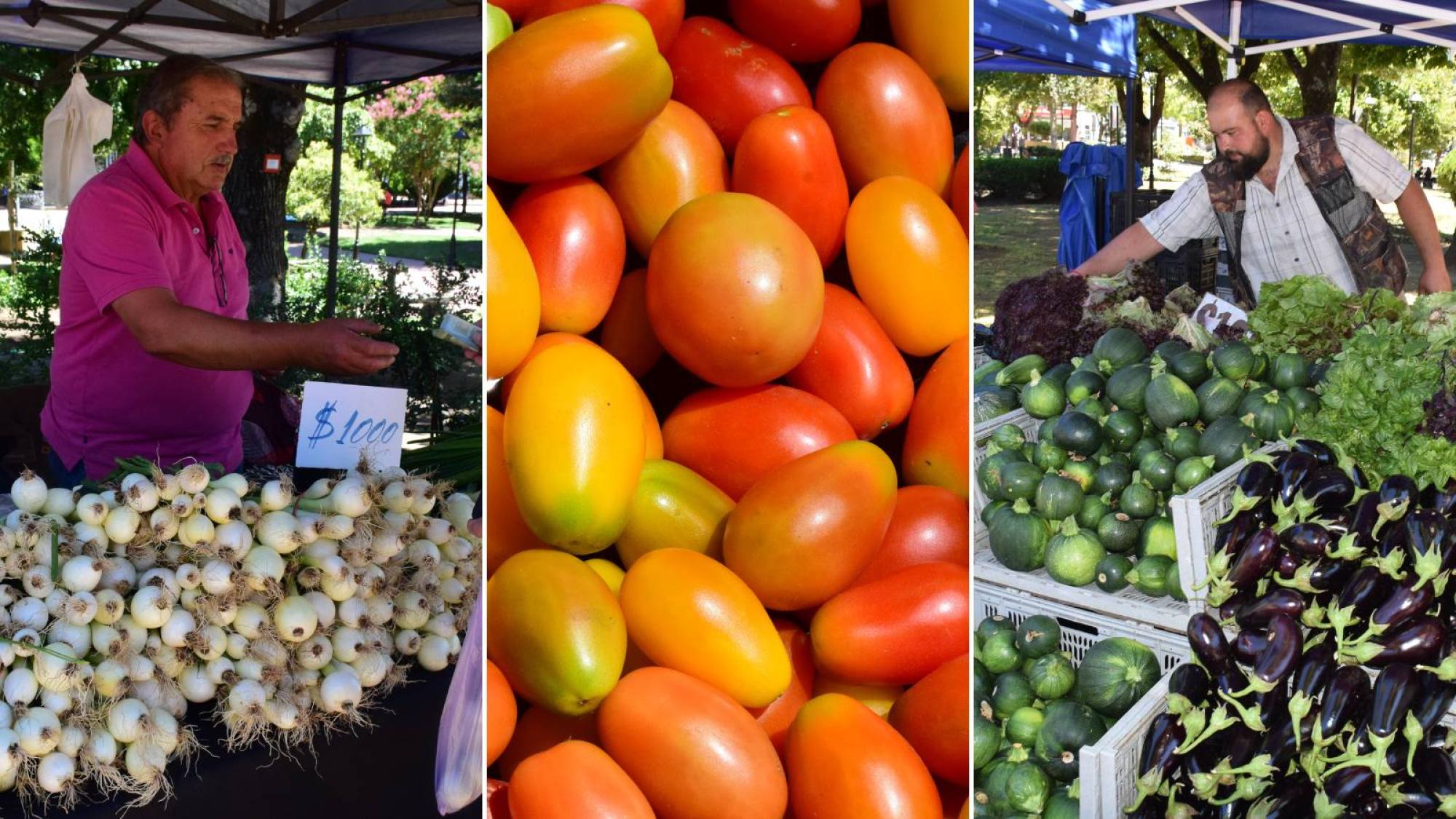 Feria Campesina Biobío 2025 continuará funcionando en febrero en el ...