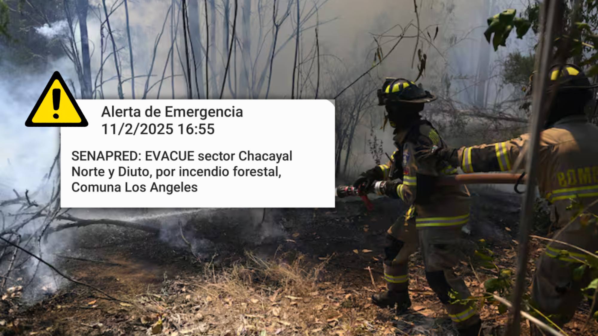 Evacuación de sectores Chacayal Norte y Diuto por incendio forestal ...